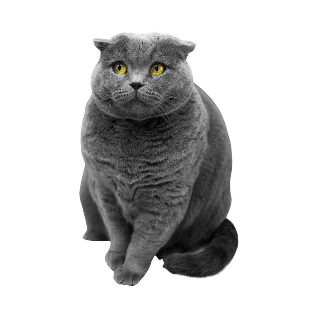 HomePage [jhenchem0210.github.io]